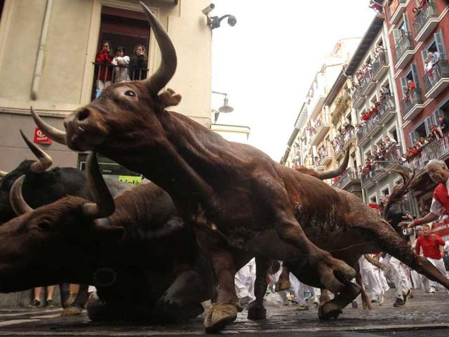 Freedom has a price for NYC bull saved by comedian Jon Stewart | World News