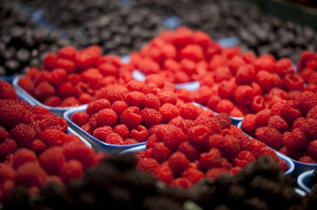 Start eating raspberries now! You just can’t ignore its health benefits ...