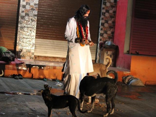 A guardian angel for stray dogs in Ujjain | Hindustan Times