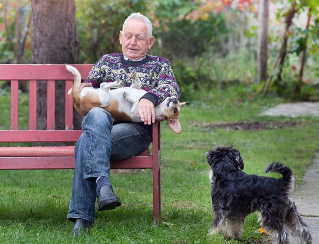Loving dogs can help older people live longer, healthier | Health