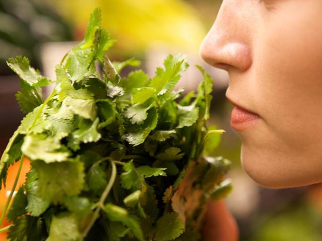Another change that ageing brings: Your ability to smell food declines ...