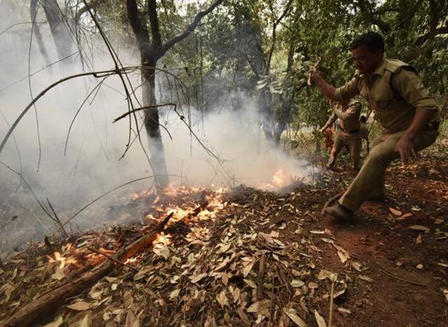 In pics: Uttarakhand forest fire continues, 2270 hectares affected ...