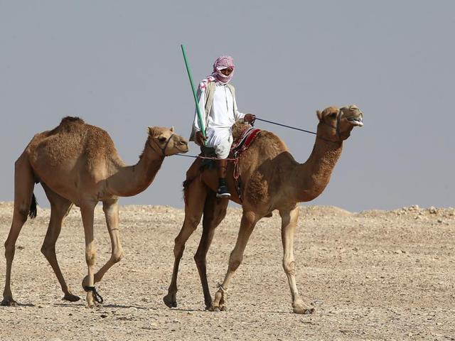 Deep in Qatari desert, a hospital dedicated to camels | Hindustan Times
