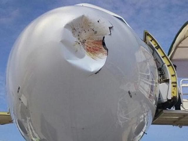 Vistara’s Bhubaneswar-bound plane hit by bird, aircraft grounded ...