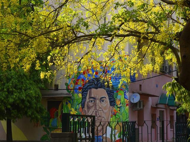 Colours of an Indian summer: Amaltas, Gulmohar in full bloom in Delhi ...