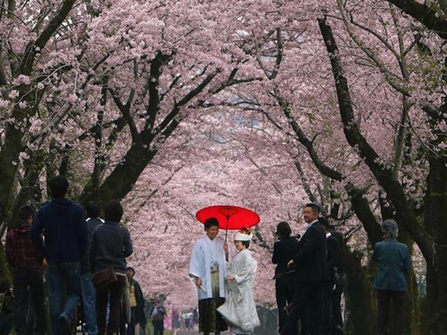 Posthumous marriage: Ghost wedding with woman corpse held in China ...