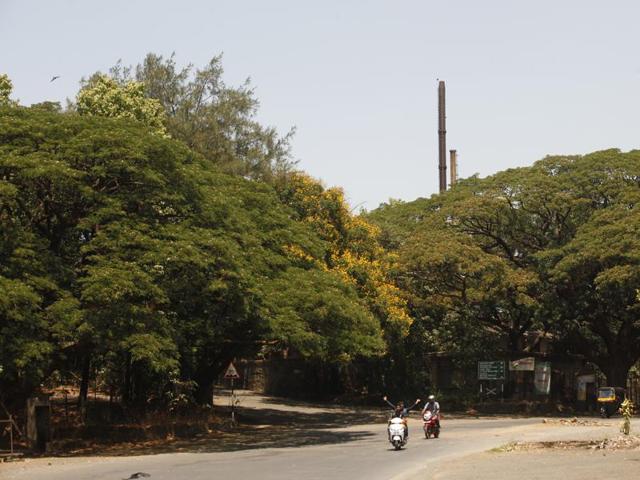 Built-up area for Aarey down by just 25% | Mumbai news