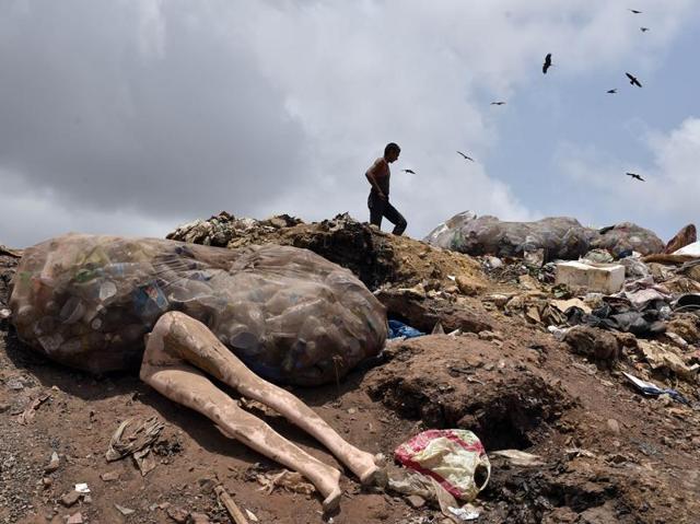 On World Environment Day, a glimpse of damage done to the Earth ...