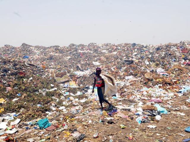 On World Environment Day, a glimpse of damage done to the Earth ...