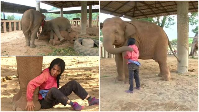 Page 1590 - News Videos Online: HD Videos Online, Video News Clips ...