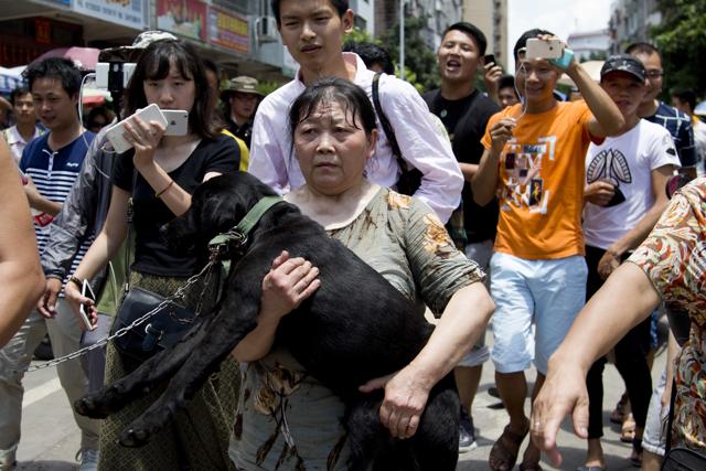 In pics: China city holds dog-meat eating festival despite protests ...