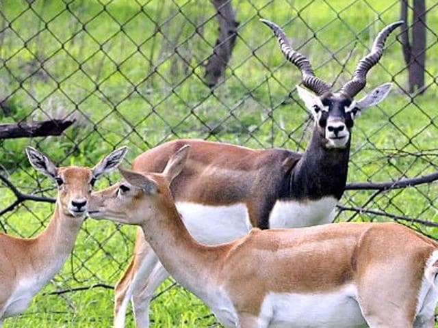 Nature park-cum-monument to come up in Abohar | Hindustan Times