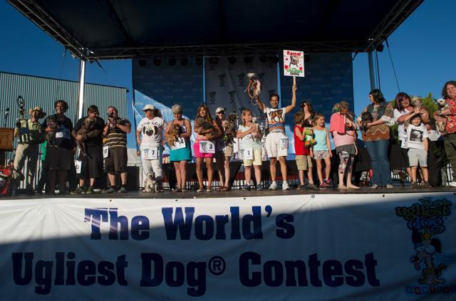 In pics: Meet the world’s ugliest dog blind, bow-legged SweePee Rambo ...