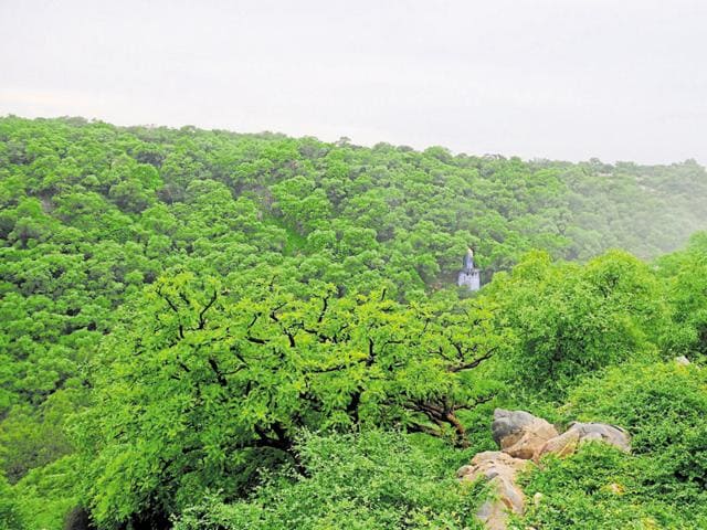 MP forest dept gets translator from Manipur to quiz foreign poacher ...