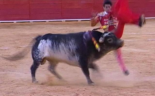 Hundreds attend funeral of bullfighter gored to death in Spain | World News
