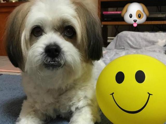 #WHPRealEmojis: Look who just came to life | Hindustan Times
