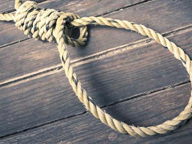 Woman’s body found hanged from tree along highway in Ludhiana ...