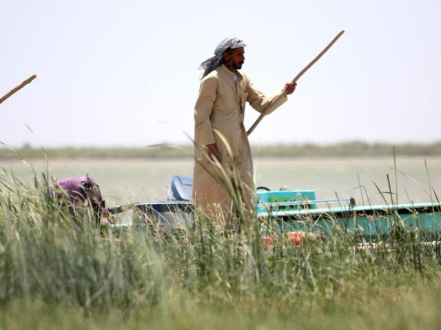 The tranquil Iraqi Marshlands are now a World Heritage Site | Hindustan ...