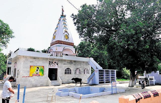 Faith, superstition nurture this sacred grove in Pathankot | Hindustan ...