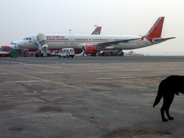 ‘Terror threat to eyesore’, Delhi airport officials want the dogs out ...