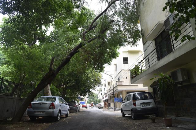 Unpruned trees behind spate of problems | Latest News Delhi