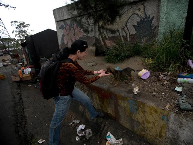 Pets in Venezuela are not getting the love they deserve | Hindustan Times