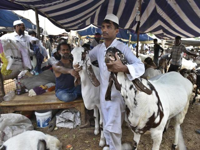 For goat’s sake! Rs 7L for Sultan, Rs 85K for Dabang: Weekend ...