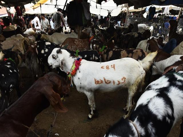 For goat’s sake! Rs 7L for Sultan, Rs 85K for Dabang: Weekend ...