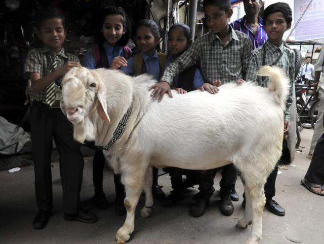 For goat’s sake! Rs 7L for Sultan, Rs 85K for Dabang: Weekend ...