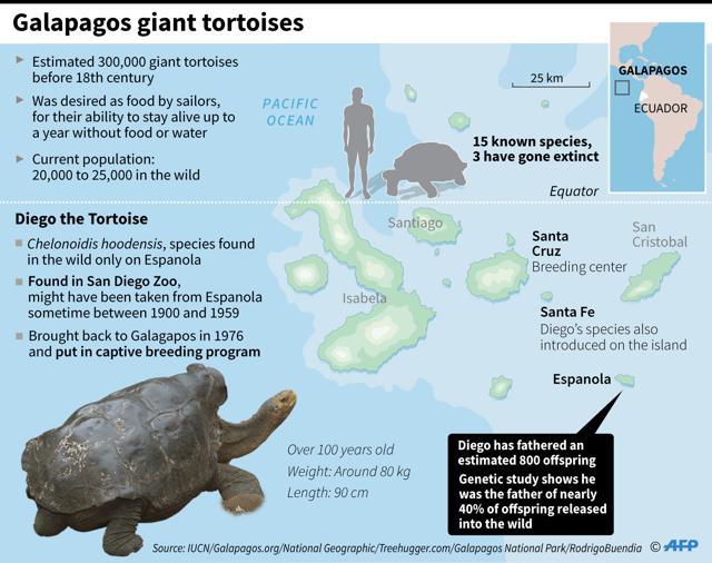 giant tortoise extinction