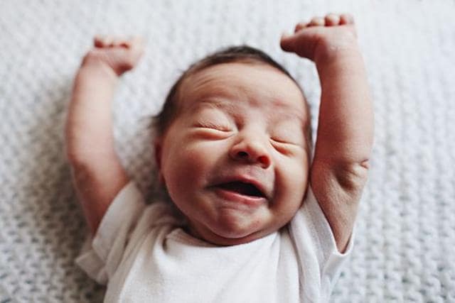 The surprising science of yawning: The bigger your brain, the longer ...