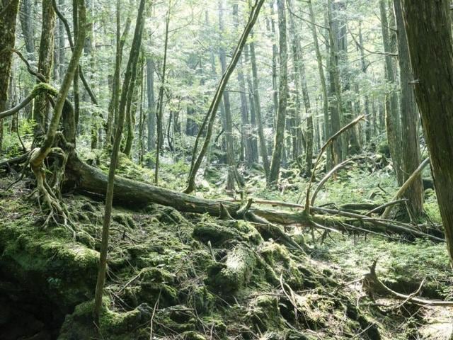 Halloween special: Some of the world’s scariest places for travellers ...