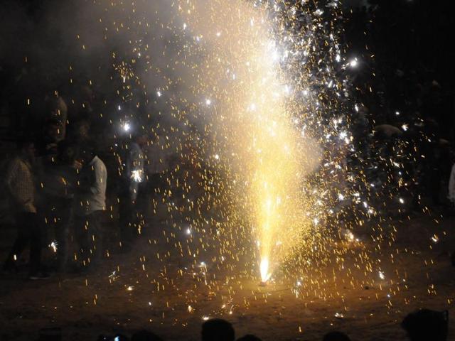 Cracker-free Diwali in 8 villages surrounding a sanctuary in Tamil Nadu ...