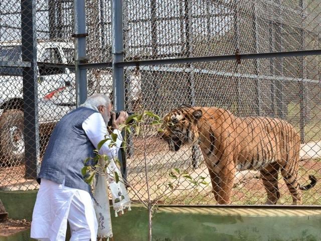 Say cheese! Twitter reacts to Modi’s ‘tryst with Tiger’ | India News