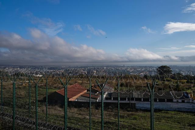 Dogs lend a hand to inmates at Portugal’s most infamous jail | World News