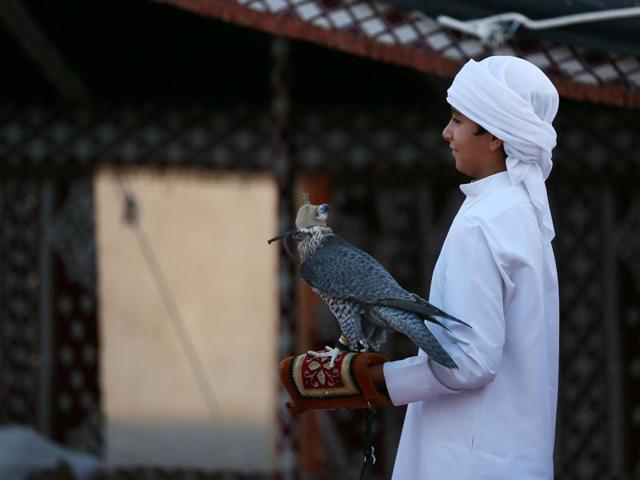 Falcon display, dance and music bring alive Emirati culture | Hindustan ...