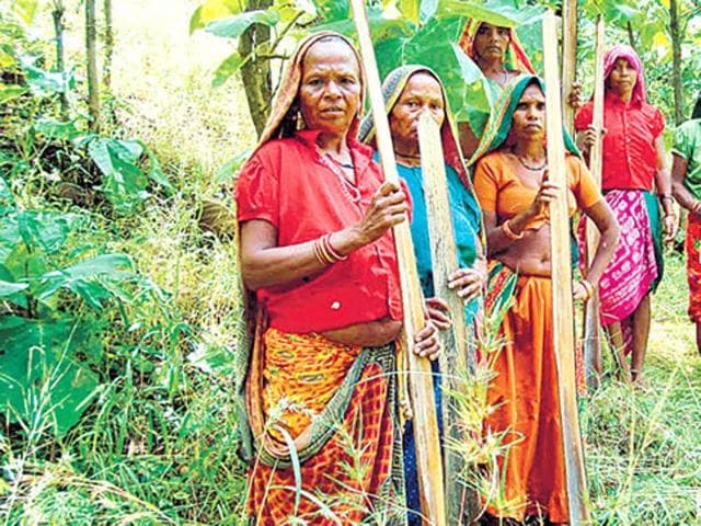 ‘Barwani tribals prone to Down’s syndrome’ - Hindustan Times