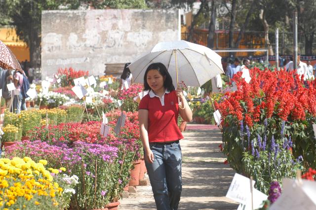 Photos: Come spring and Delhi turns more beautiful with these flower ...