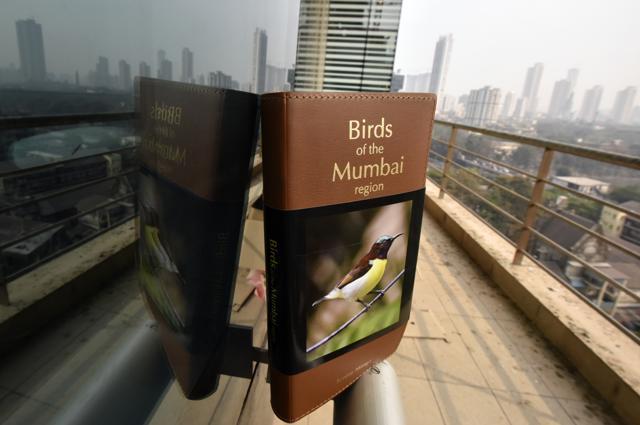 Cheep thrills: It’s time for a weekend of birdwatching in Mumbai ...