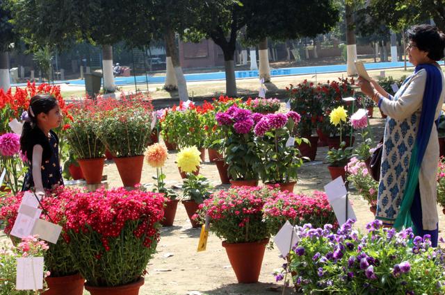 In Pics: Two-day Gurgaon flower show dazzles residents | Hindustan Times