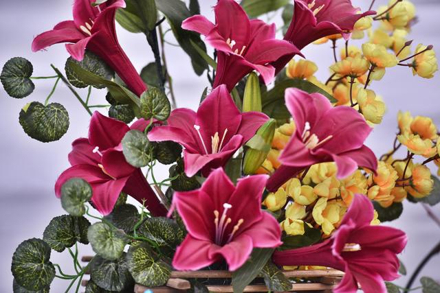 In Pics: Two-day Gurgaon flower show dazzles residents | Hindustan Times