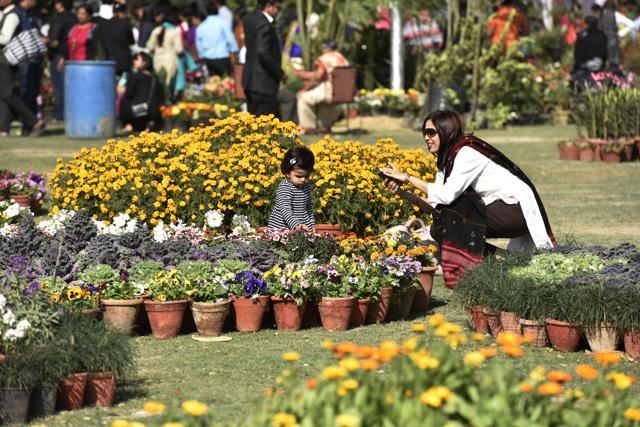 In Pics: Exotic plants a hit as three-day flower show in Noida ends ...