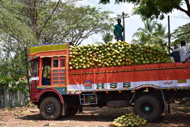 Tender coconuts feel the heat of Karnataka’s drought, yield down by ...