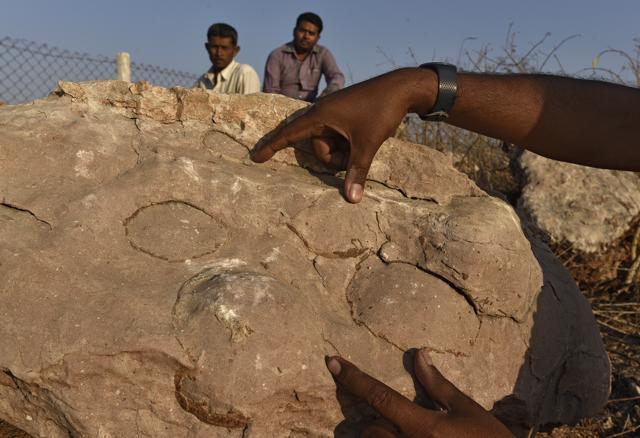 A raja, a Jain, a Tagore: Meet desi dinosaurs that once roamed India’s ...