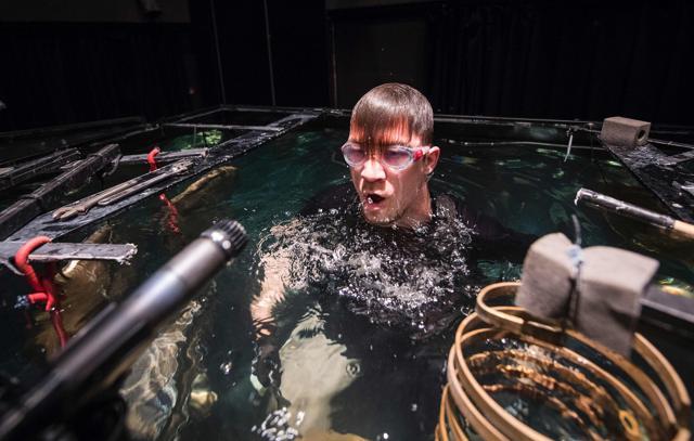 This Danish band performs while submerged in water tanks, like fish in ...