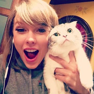 Meet the famous Instagram cats of celebrities | Fashion Trends