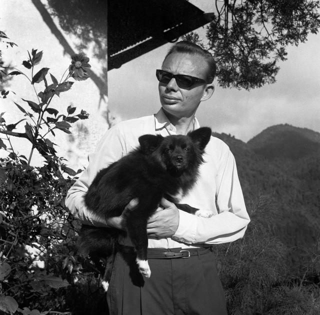 Excerpt: Lone Fox Dancing by Ruskin Bond - Hindustan Times