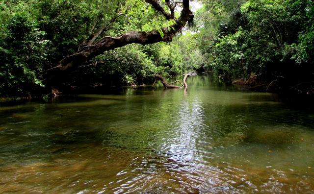 World Environment Day: 11 beautiful places to visit for a green holiday ...