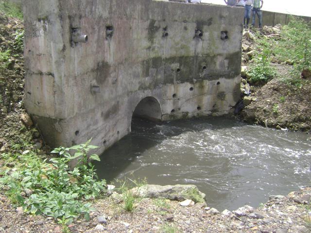 Waste from Mumbai dumpyard killing fish in Thane creek, fishermen ...
