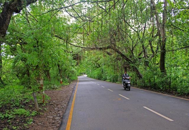 411-acre Savitribai Phule Pune University is the city’s green lungs ...